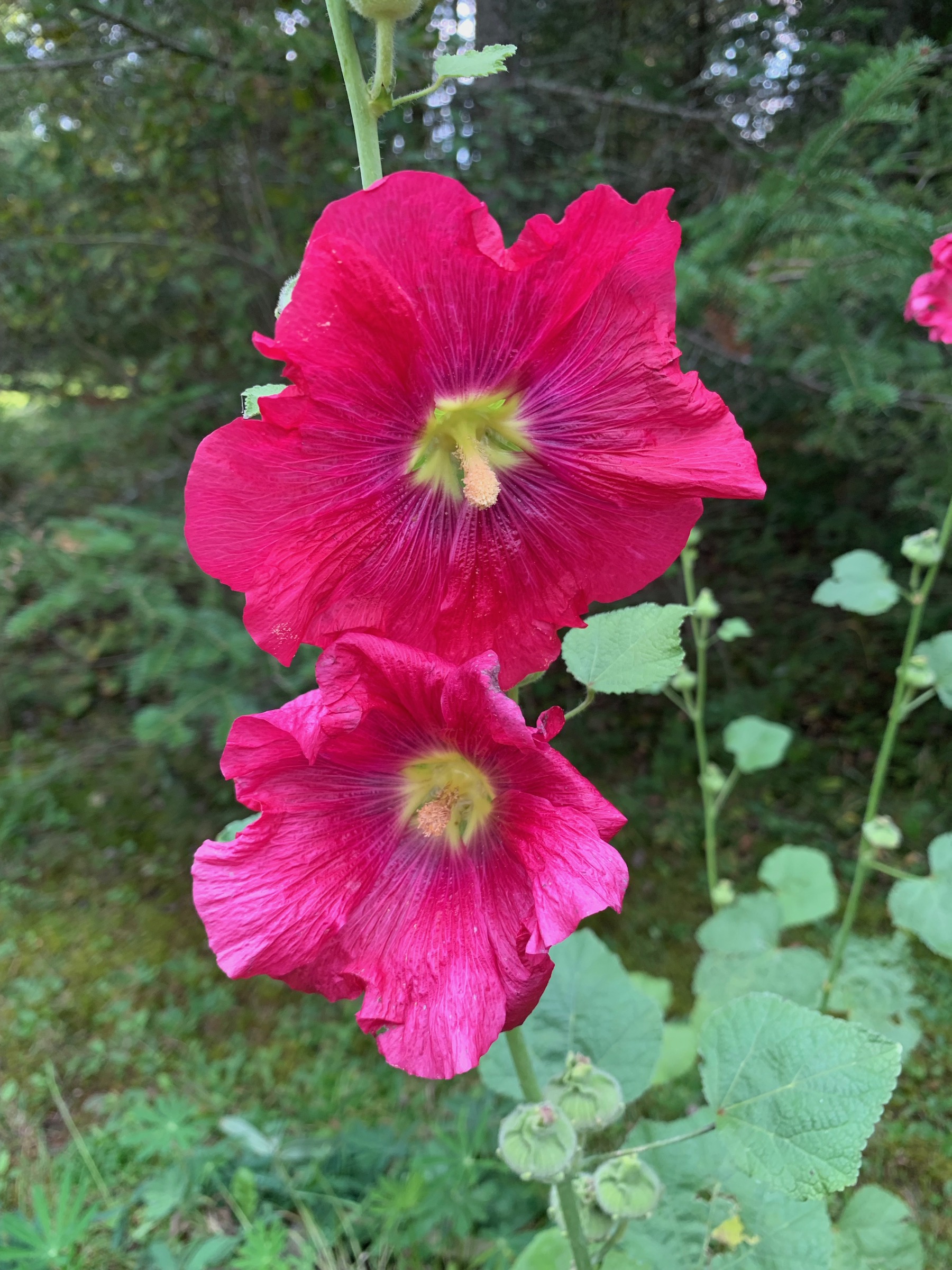 A small victory – MightyWrite