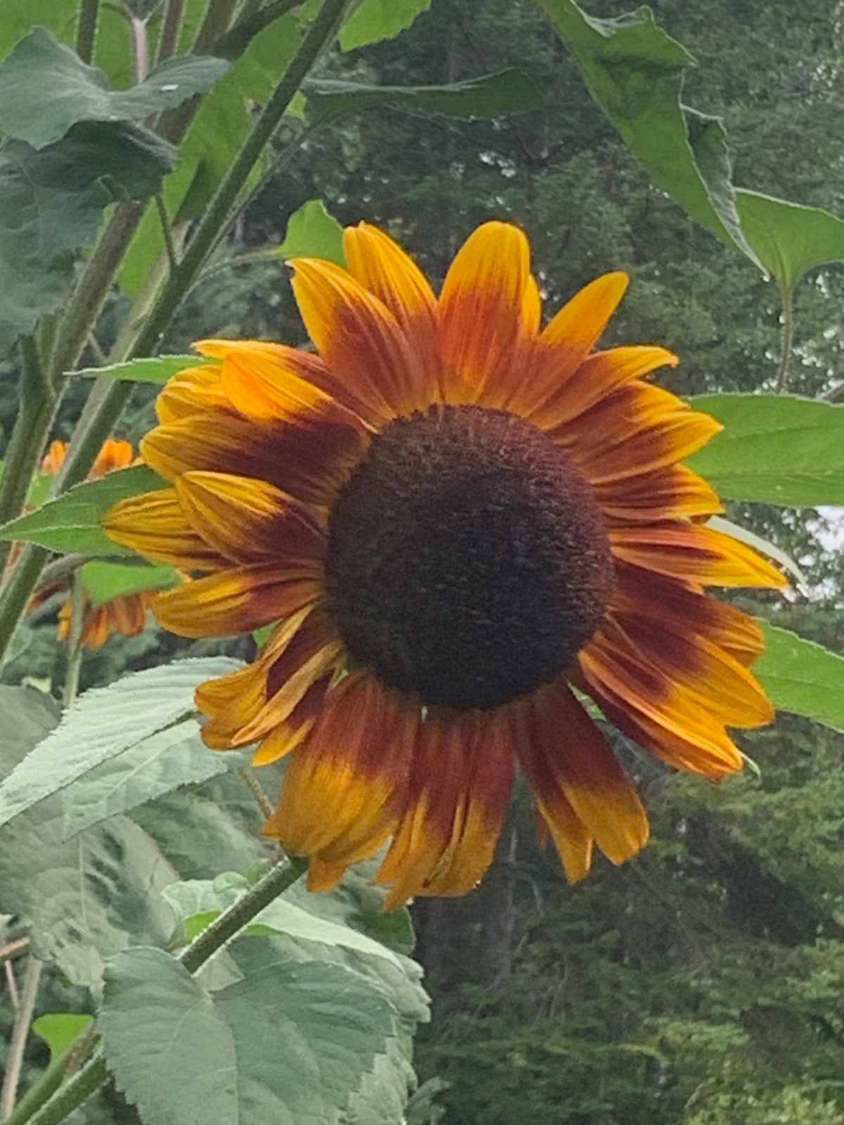 A small victory – MightyWrite